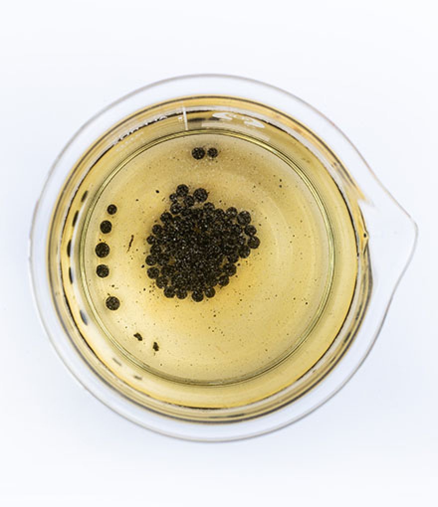 Seaweed granular fertilizer - agriculture fertilizer/Organic Fertilizer ...